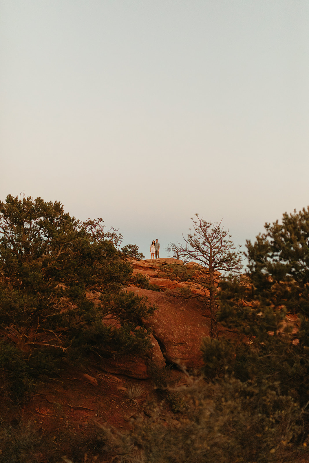 The Ultimate Guide to Creating a Mood Board for Your Photo Session ...